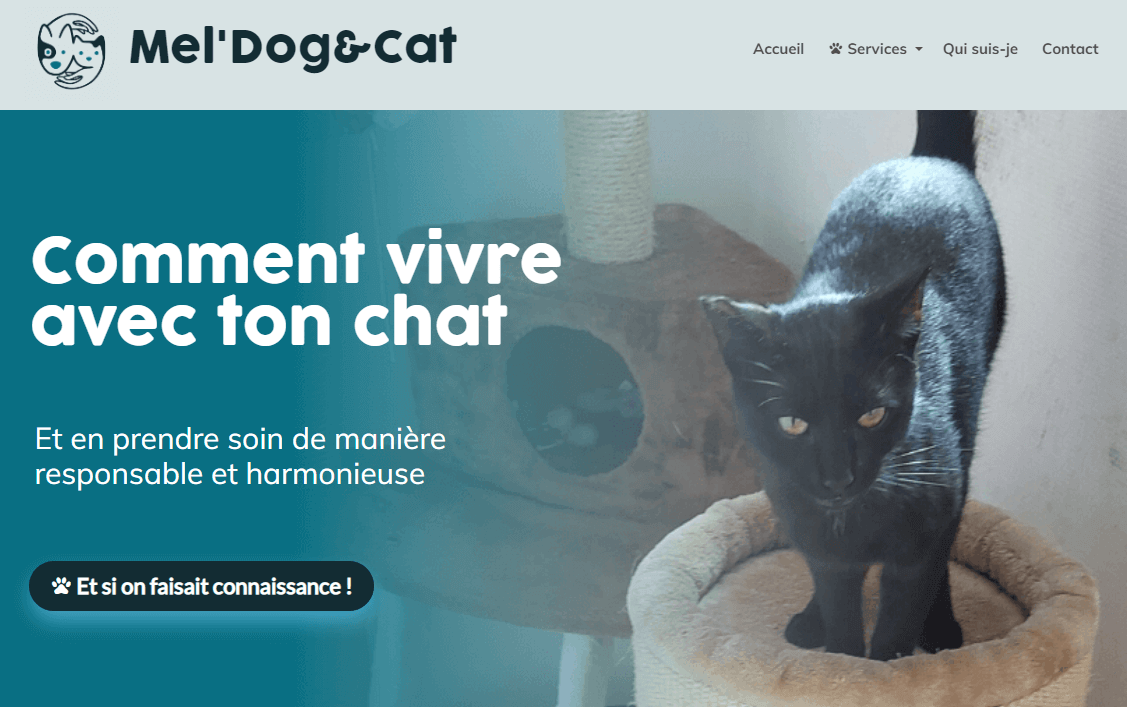 Mel Dog&Cat | chat